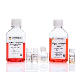 STEMdiff™ Ventricular Cardiomyocyte Differentiation Kit | STEMCELL Technologies