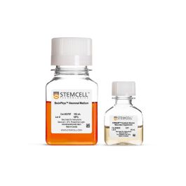 STEMdiff™ Forebrain Neuron Maturation Kit | STEMCELL Technologies