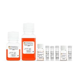 STEMdiff™ Choroid Plexus Organoid Differentiation Kit | STEMCELL Technologies