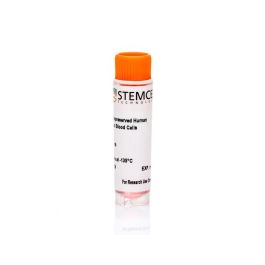 Human Cord Blood Pan T Cells, Frozen | STEMCELL Technologies